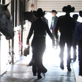 Clubs | Cornell Equine | Cornell University
