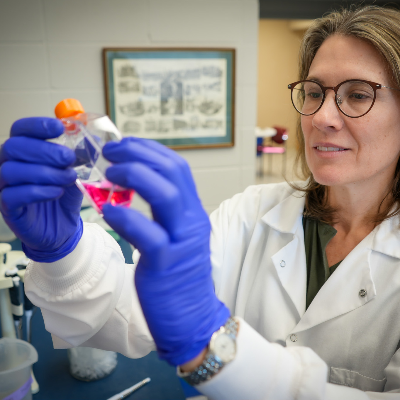 Discover | Cornell Equine | Cornell University