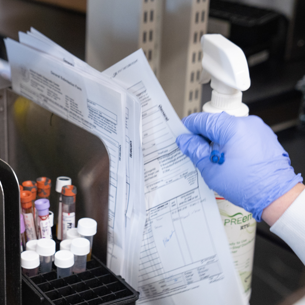 Animal Health Diagnostic Center | Cornell Equine | Cornell University