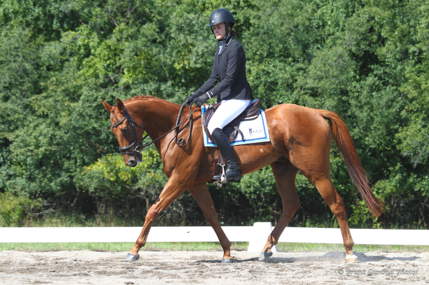 Cornell equine surgeon retrains retired racehorses | Cornell Equine ...