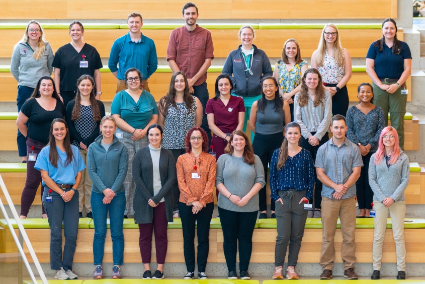 Hospital welcomes new house officers | Cornell Equine | Cornell University
