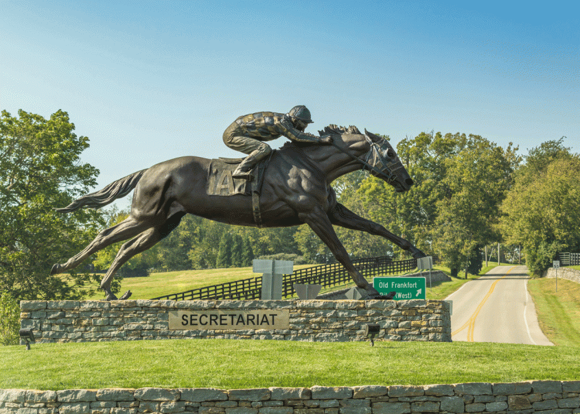 Cornell veterinary alumni in the heart of the horse world | Cornell ...